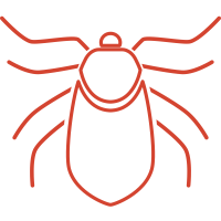 Top Pest Control Services in Greater Toronto Area (GTA)